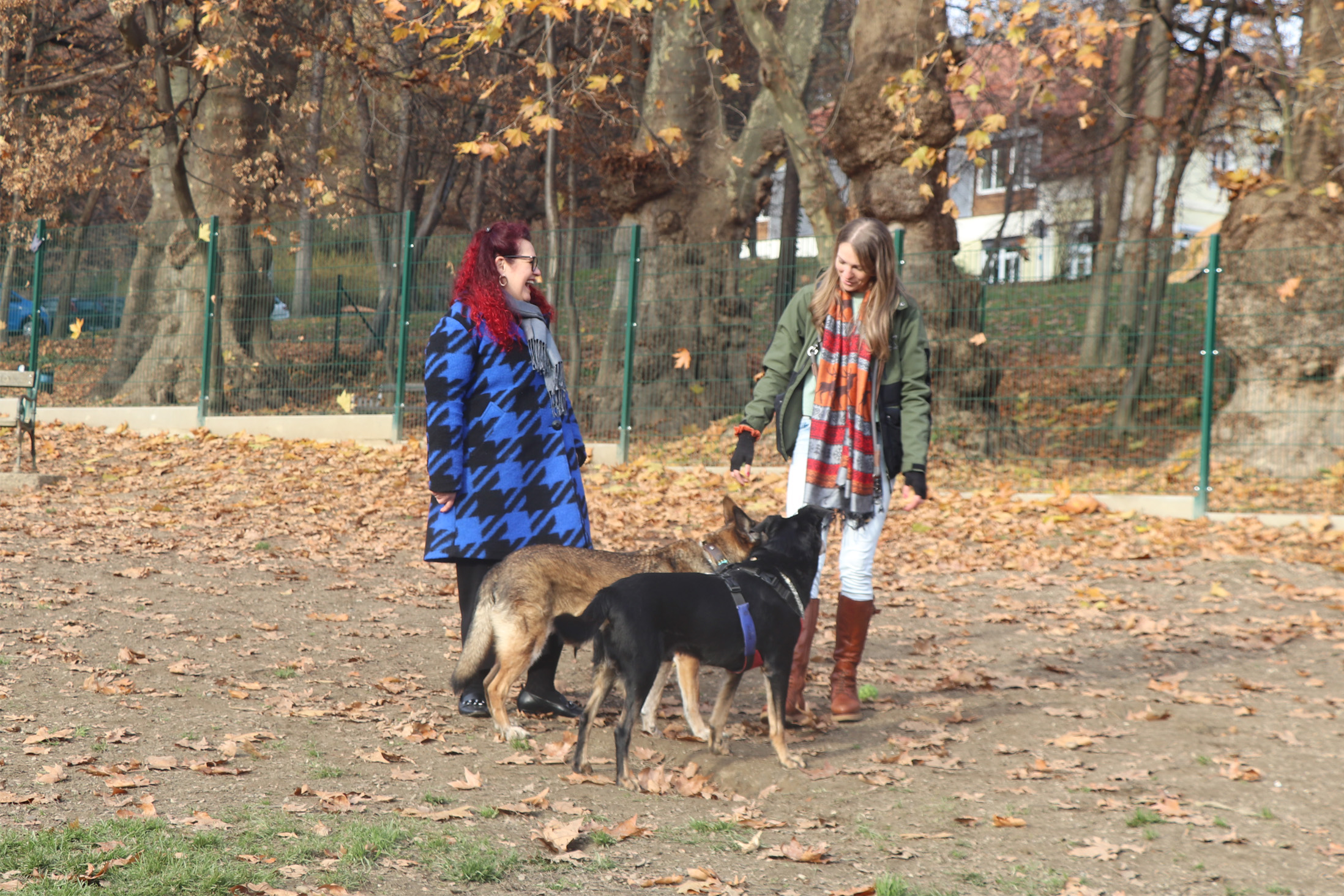 Tipps & Antworten rund um den Hund am Grazer Rosenhain - Stadtportal ...